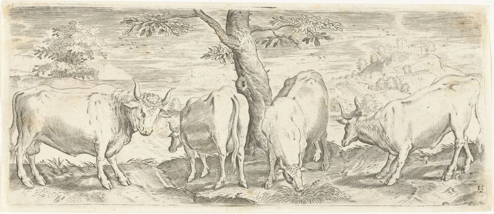 Cows, a Bull and an Ox (series: Animals)