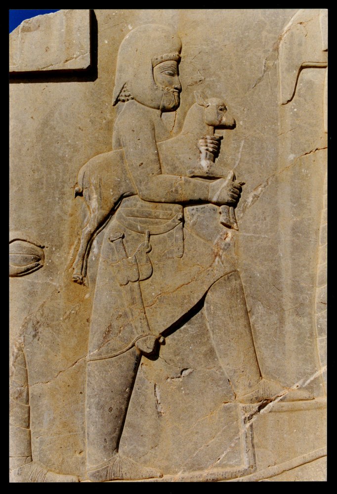 A Mede carrying a sacrificial lamb up the eastern stairway of the south ...