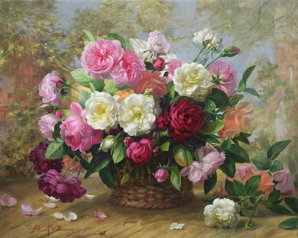 Heaven's Beauty in a Summer Rose by Albert Williams
