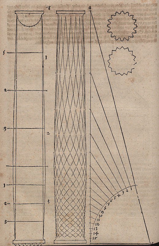Bulging Column Shape and Column Cross-Sections