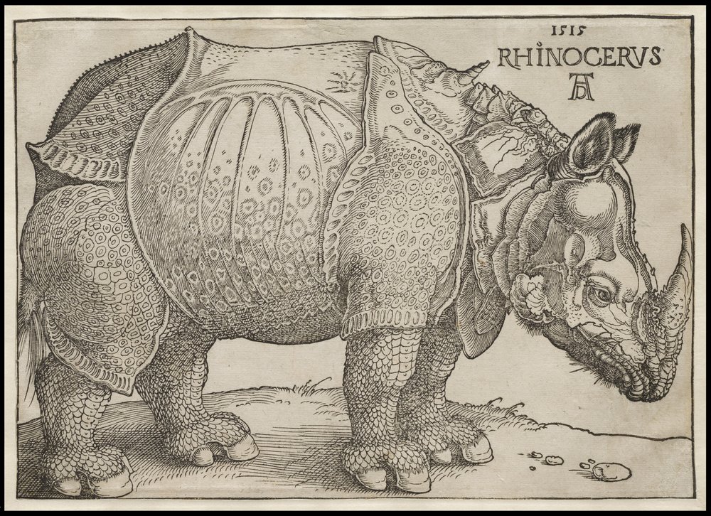The Rhinoceros by Albrecht Dürer: Buy fine art print