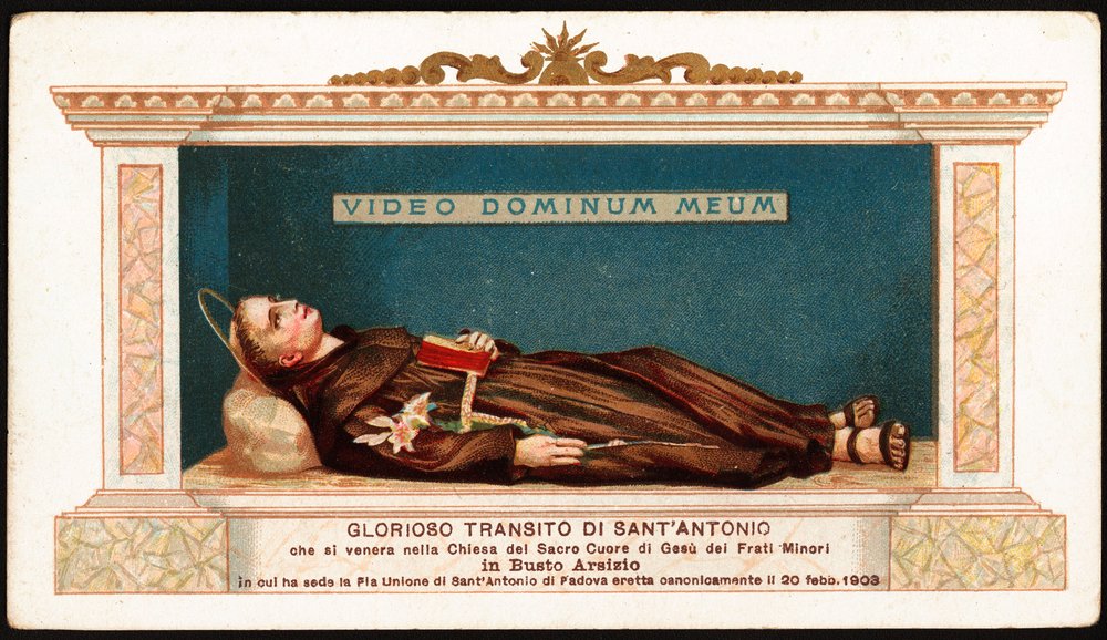 Lying of St. Anthony of Padua comes into the church of the sacred heart ...