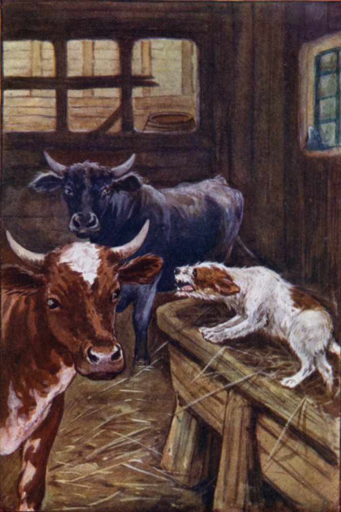 Aesop's Fables: The Dog in the Manger by Arthur Claude Cooke