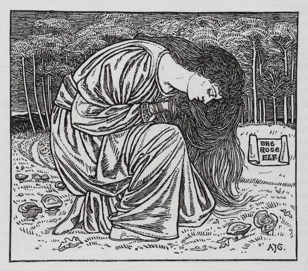 Hans Christian Andersen: The Rose Elf