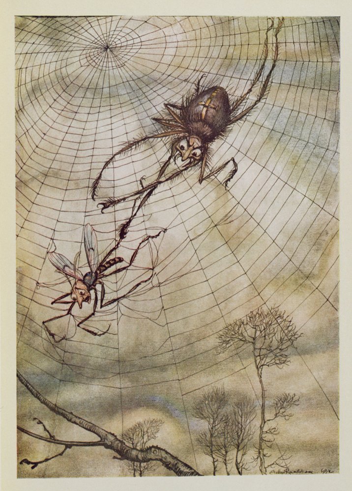 The Spider and the Fly, illustration from 'Aesop's Fables'