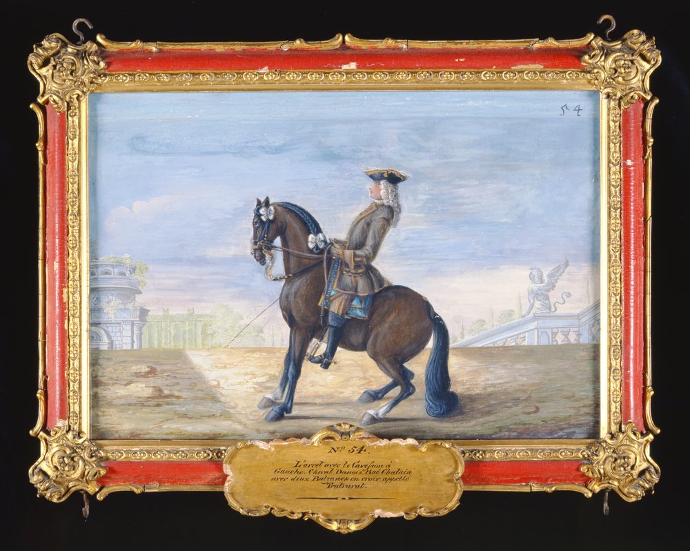 No. 54 A Danish Chestnut Bay Horse of the Spanish Riding School ...