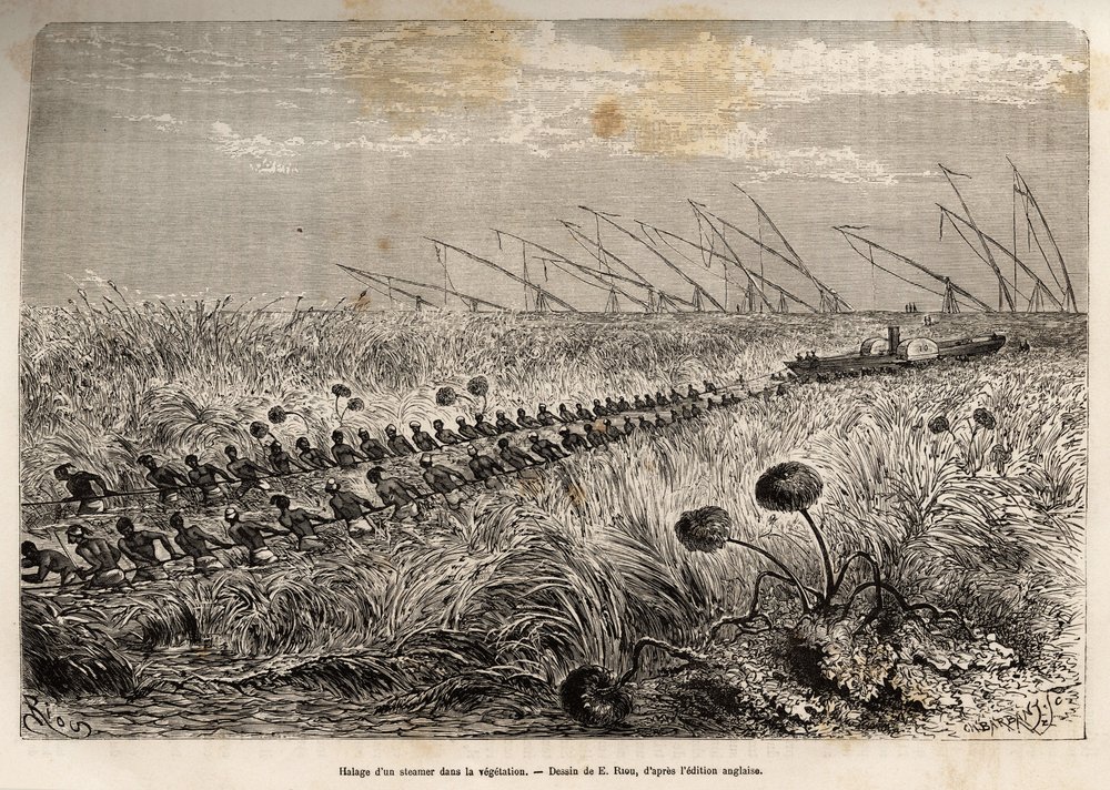 The hauling of a steamer through the vegetation rafts that invade the ...