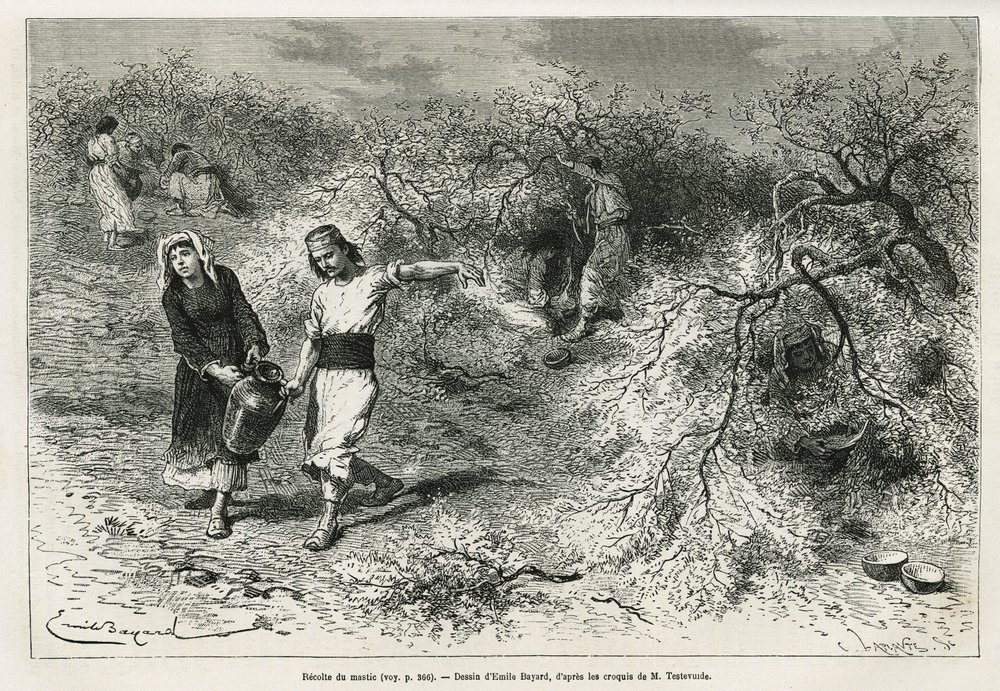The collection of putty during the summer season (Drawing by Emile Bayard)