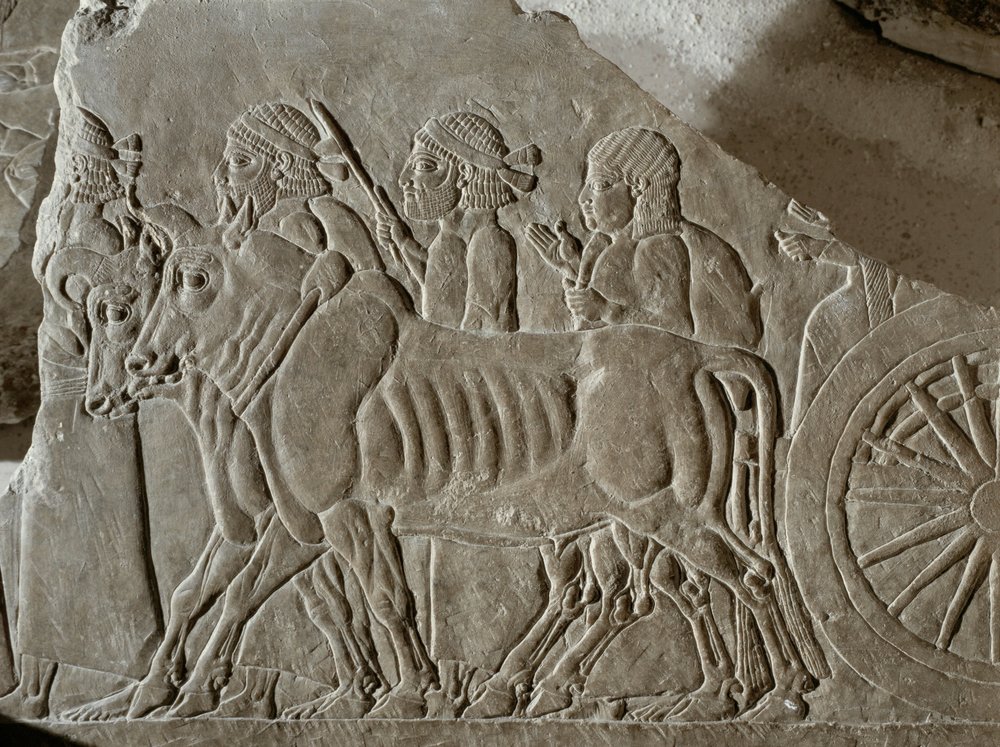 Assyrian soldiers with ox-cart leading Elamite prisoners of war to ...
