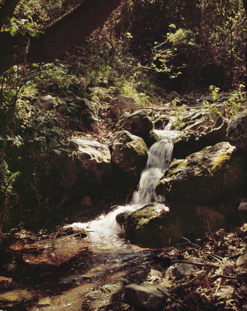 Valley of Tempe in Thessaly, Greece by Erich Lessing