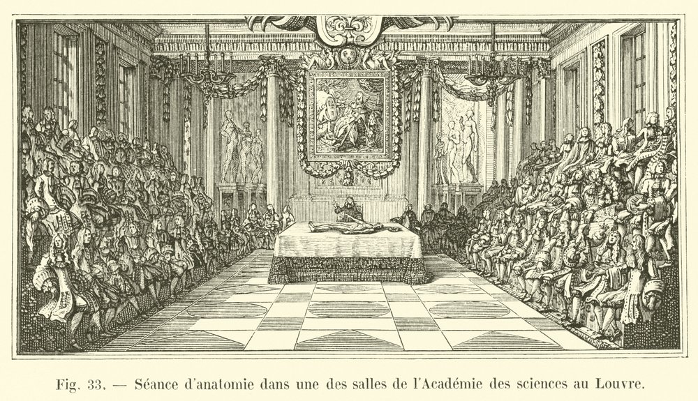 Anatomy session in one of the rooms of the Academy of Sciences at the ...