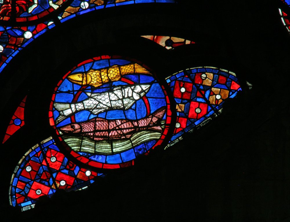 Window w115 depicting the Creation of fish by French School