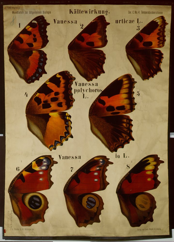 Poster Illustrating the Effect of Temperature on Different Types of ...