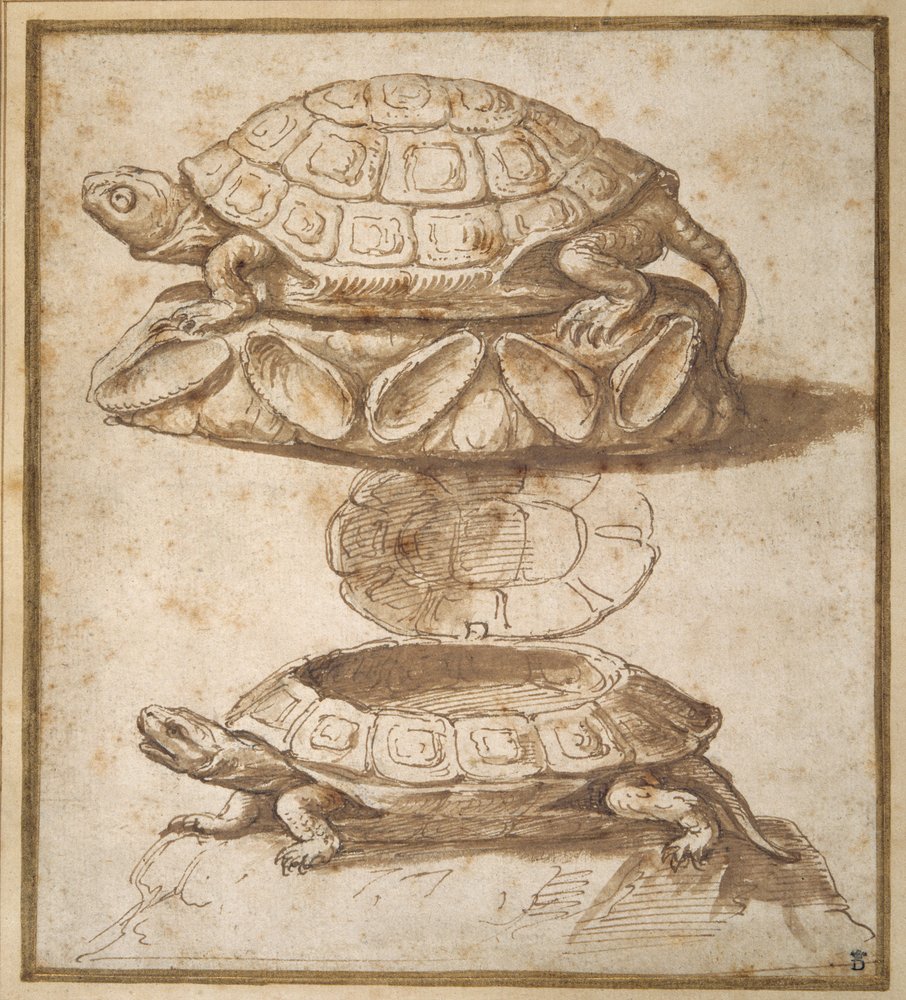 Design for a lidded box in the shape of a tortoise, shown open and shut