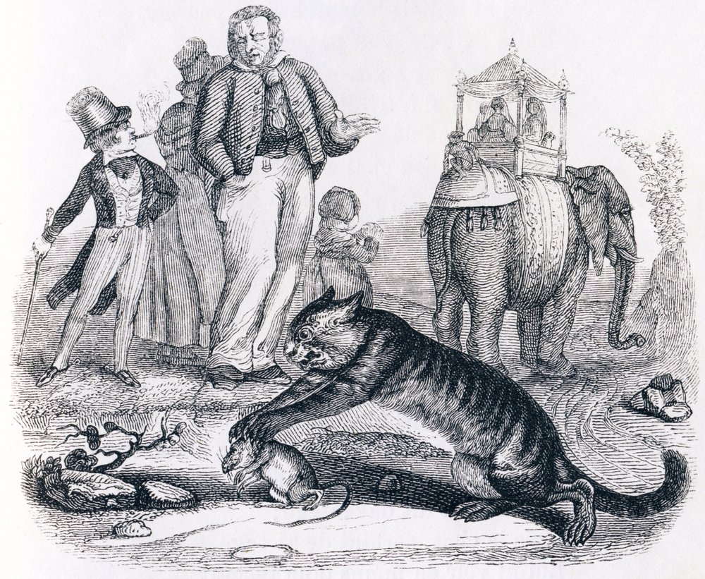 The rat and the elephant - Fables by La Fontaine