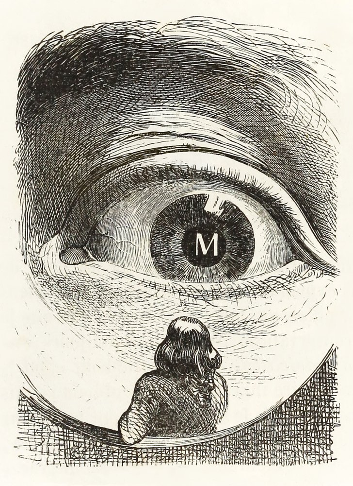 Gulliver Is Inspected by the Daughter of the Farmer in Brobdingnag ...