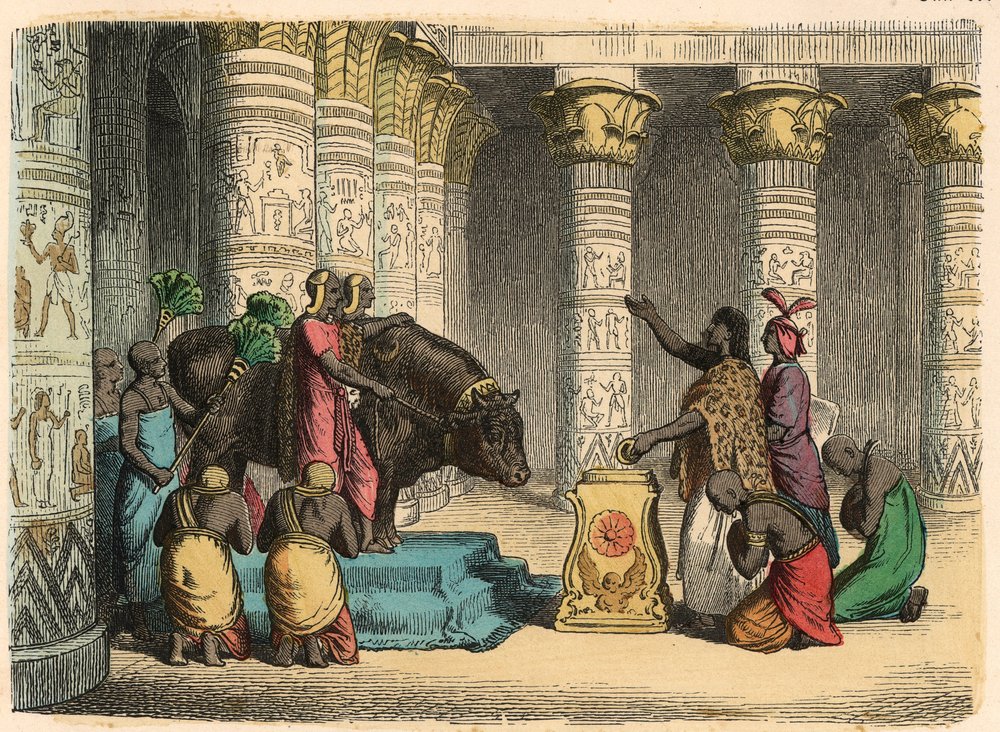Ancient Egypt: Worship of Apis Bull by Heinrich Leutemann