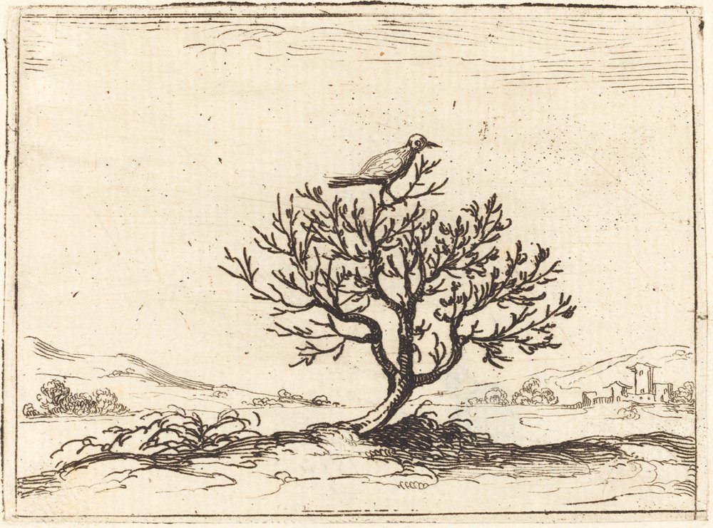 Nightingale in a Bush by Jacques Callot: Buy fine art prints
