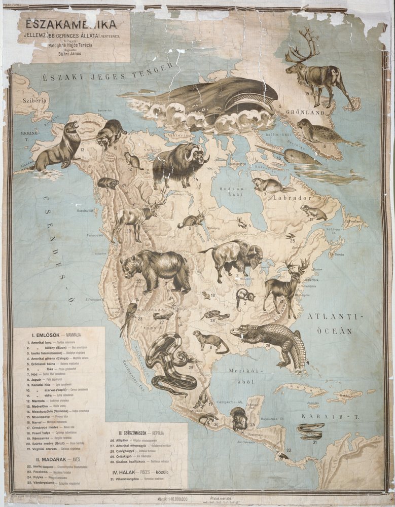 Map of Animals in North America by Janos Balint