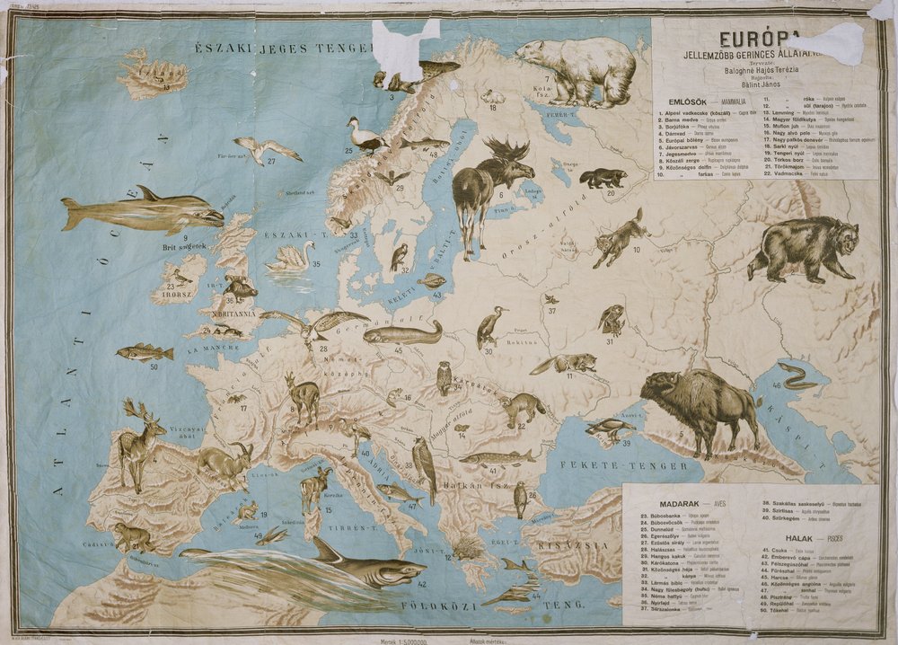 Map of Animals in Europe by Janos Balint: Fine art print