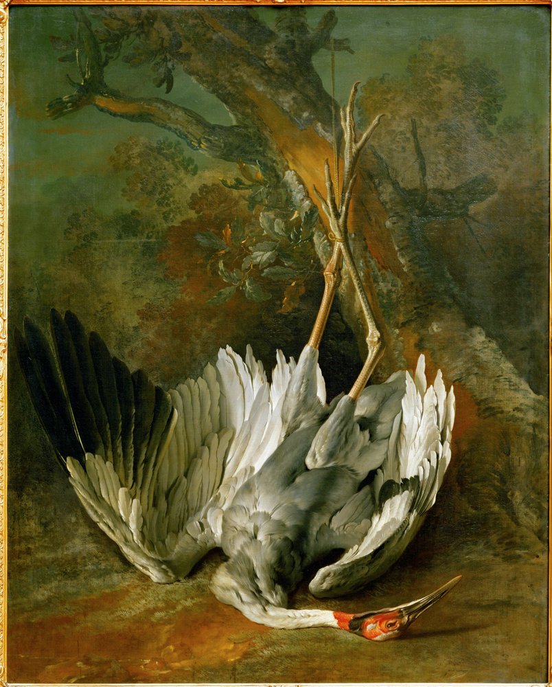The Dead Crane by Jean-Baptiste Oudry: Buy fine art print