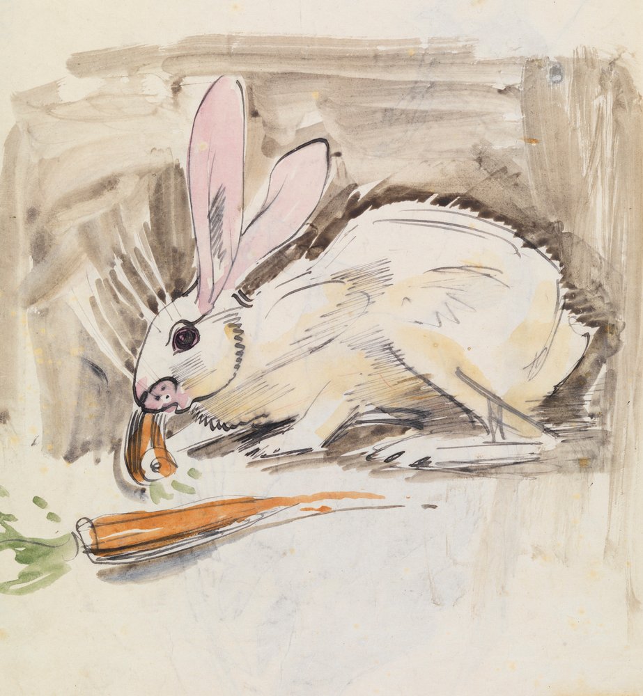 Rabbit (pen & wash on paper) by Joseph Crawhall