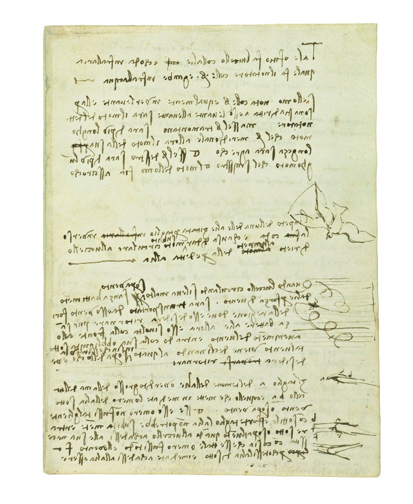 Codex on the Flight of Birds, Folio 10 Recto