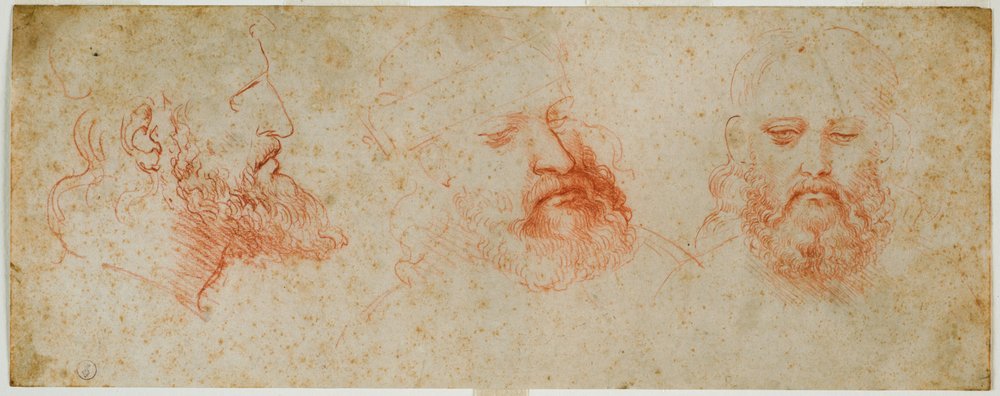 Three views of manly head with beard, c. 1502