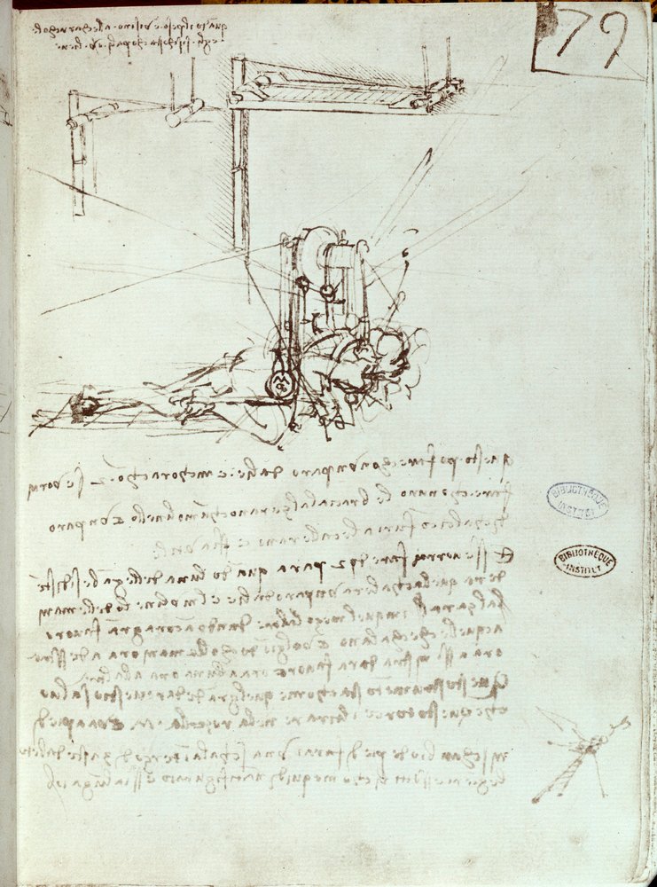 Flying Machine Drawing by Leonardo da Vinci