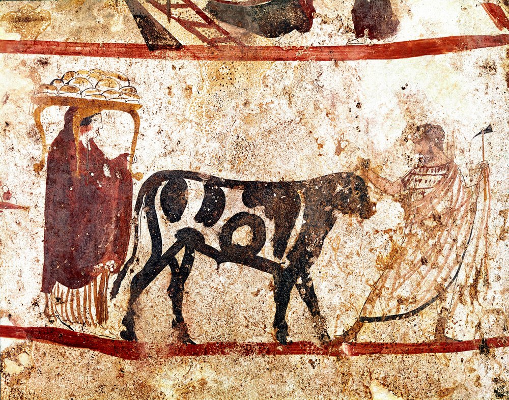 A Bull Leads on the Altar of the Sacrifice