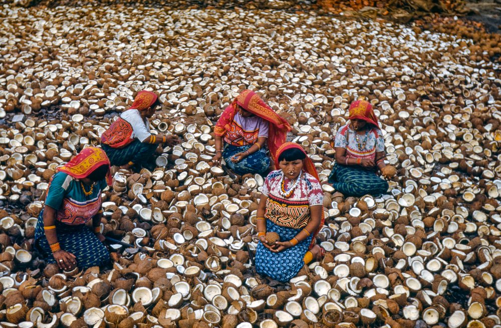 Indigenous people of Mulatas Archipelago of San Blas Islands crack ...