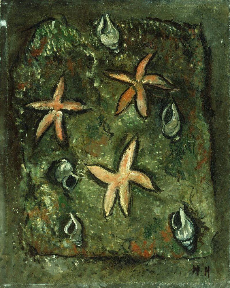 Star Fish and Shells by Marsden Hartley: Fine art print