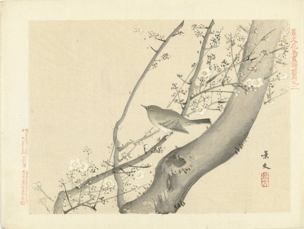Bird in Tree with White Blossom by Matsumura Keibun