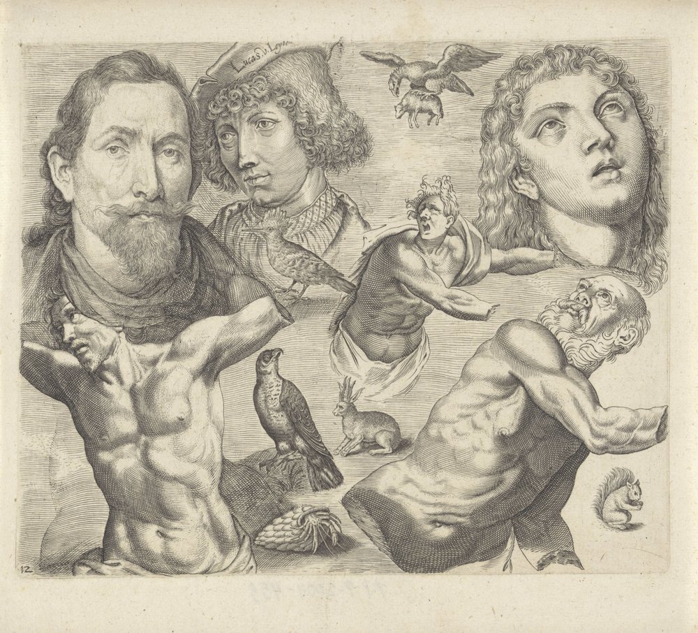 Study Sheet with Drawing Examples: Heads, Torso, and Animals (Drawing ...