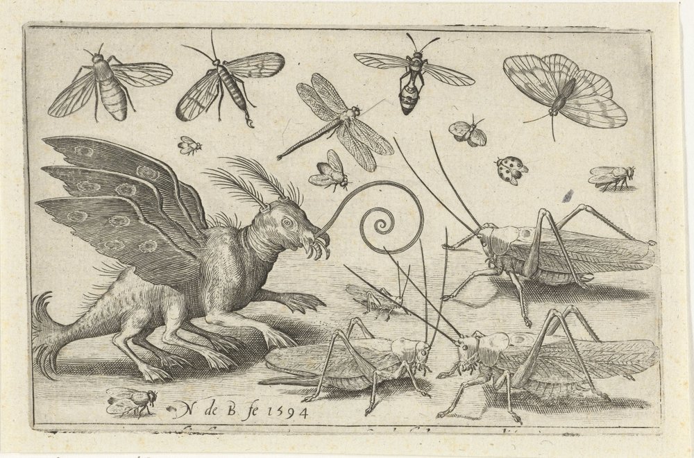 Grasshoppers and Fantasy Creature with Wings and Webbed Feet Birds and ...