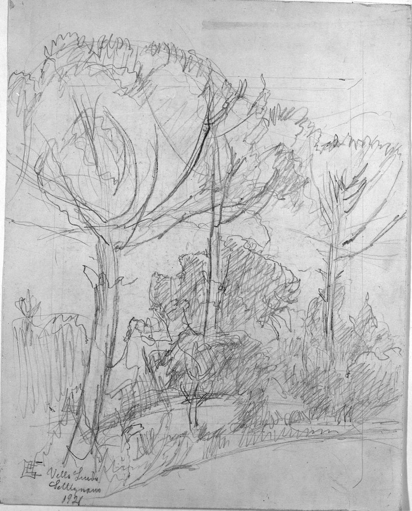 Walking Figure and Diagrams and Notes on Pendulum Swings