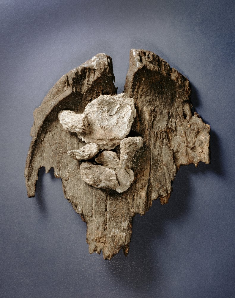 Fragment of a prehistoric dish with remains of a joint of meat, Tomb ...
