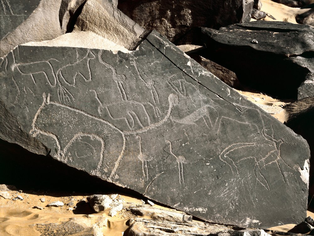 Prehistory, rock art: grave rock depicting lions, antelopes, ostrich ...
