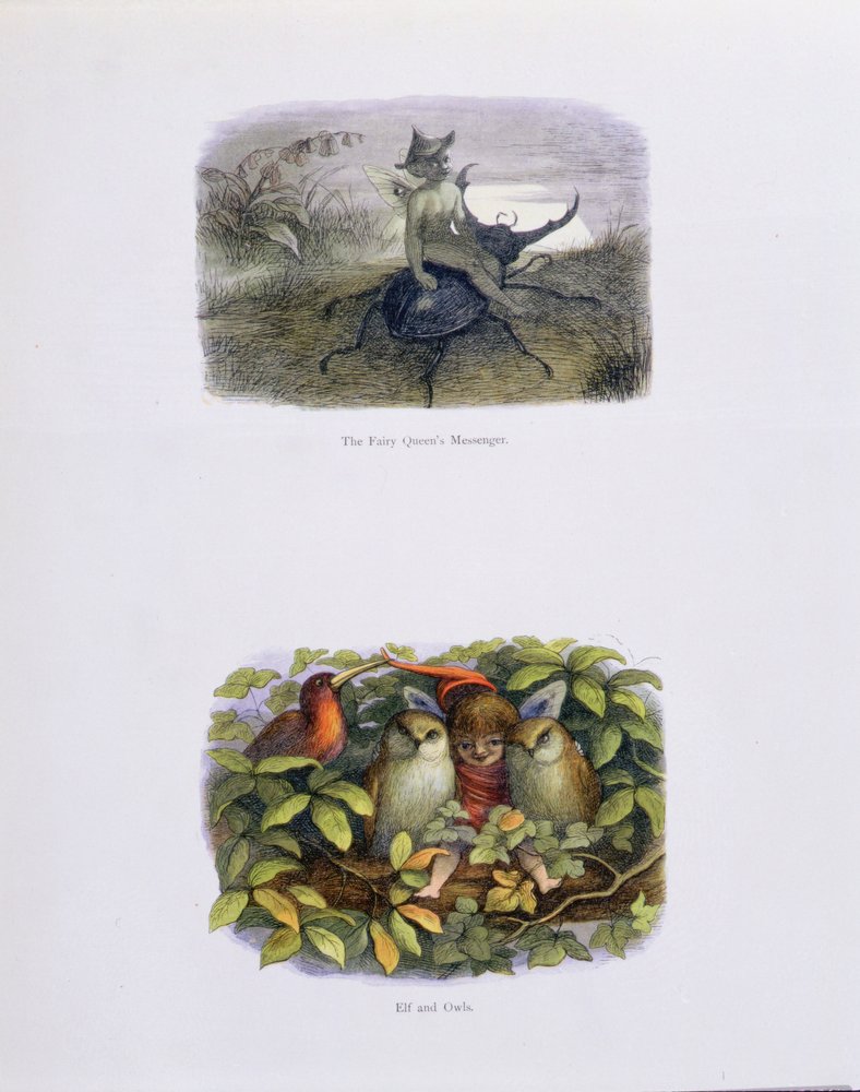 The Fairy Queen's Messenger, and Elf and Owls, Illustrations from 'In ...