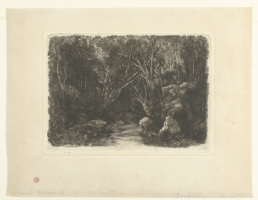 Forest Landscape with Stream and Overhanging Trees