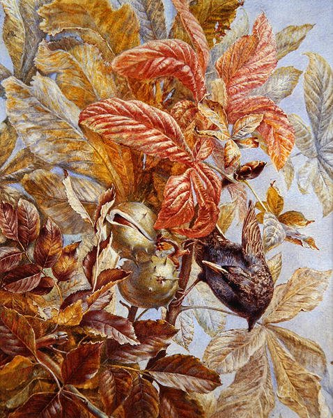 A Starling in a Chestnut Tree by Ruth Lindsay