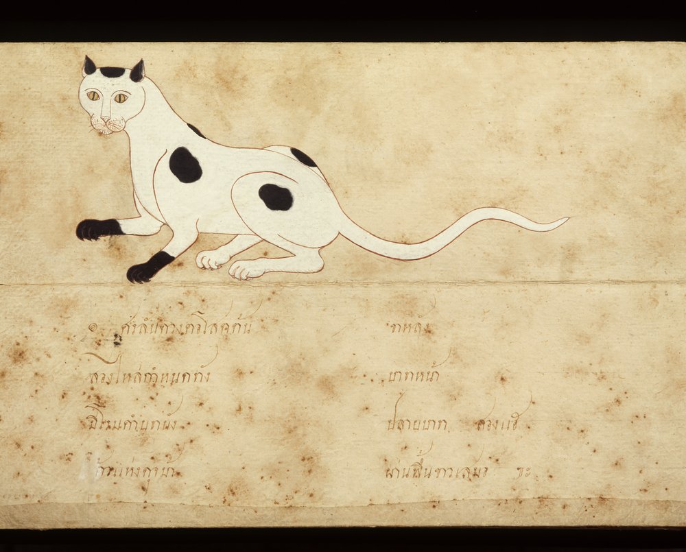 Leaf of a Manuscript on Siamese Cats by School Thai