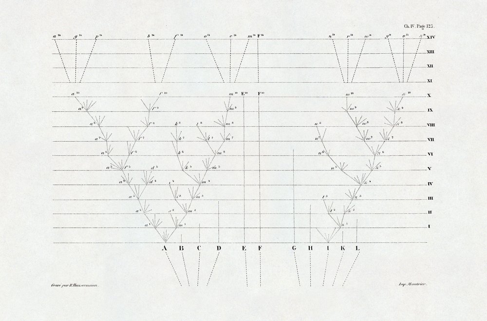 charles darwin evolution tree