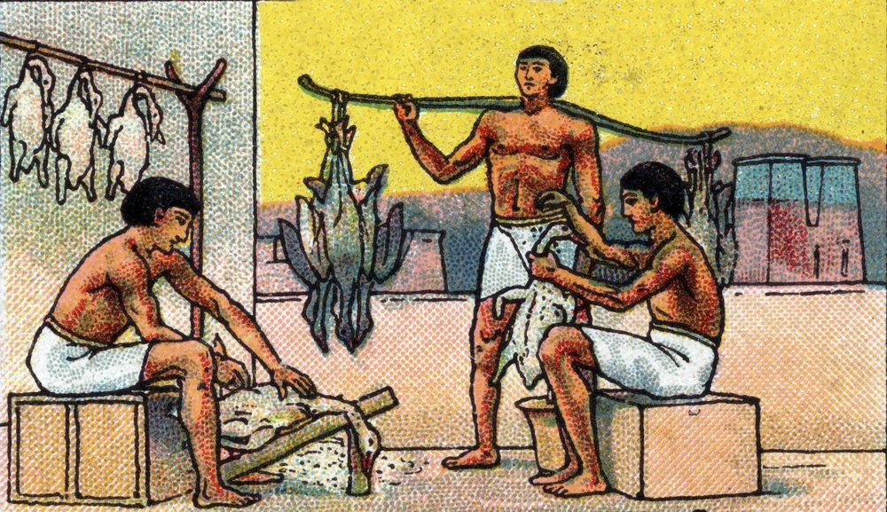 Daily Life in Ancient Egypt: Breeding and Preparation of Geese in ...