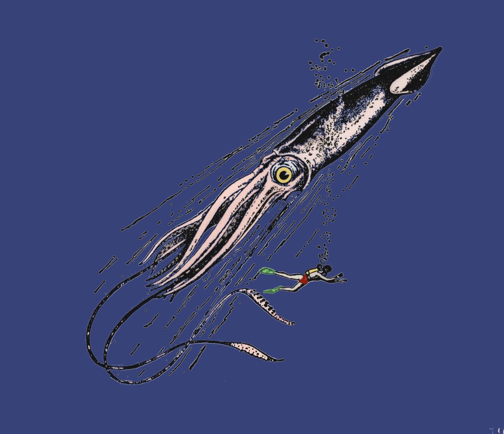 squid artist