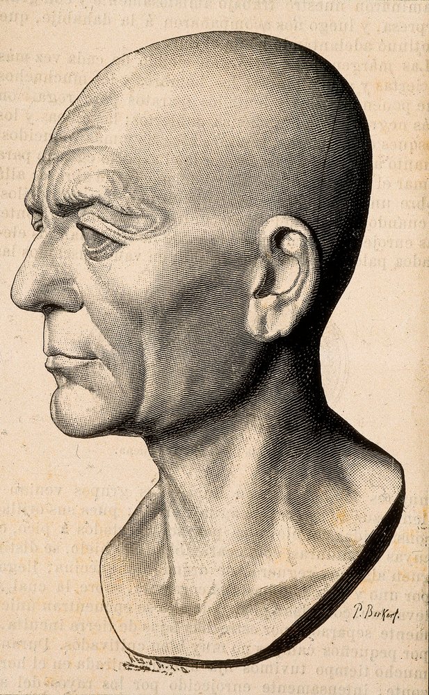 Portrait of Publius Cornelius Scipio Africanus, Roman statesman (235 ...