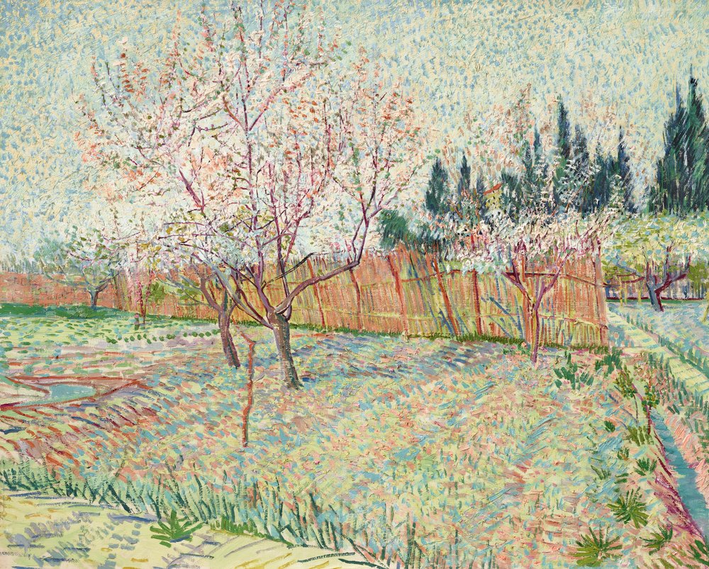 Orchard with Cypresses by Vincent van Gogh: Fine art print