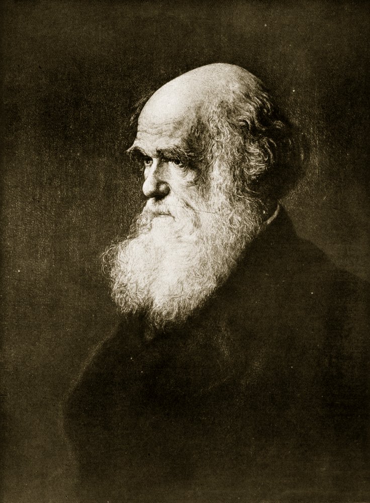 Charles Darwin, print after the painting by W.W. Ouless, illustration ...