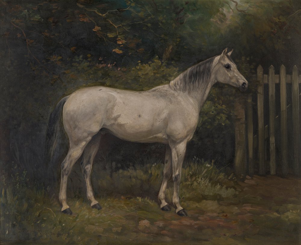 Pickles: a Basuto pony by William Josiah Redworth