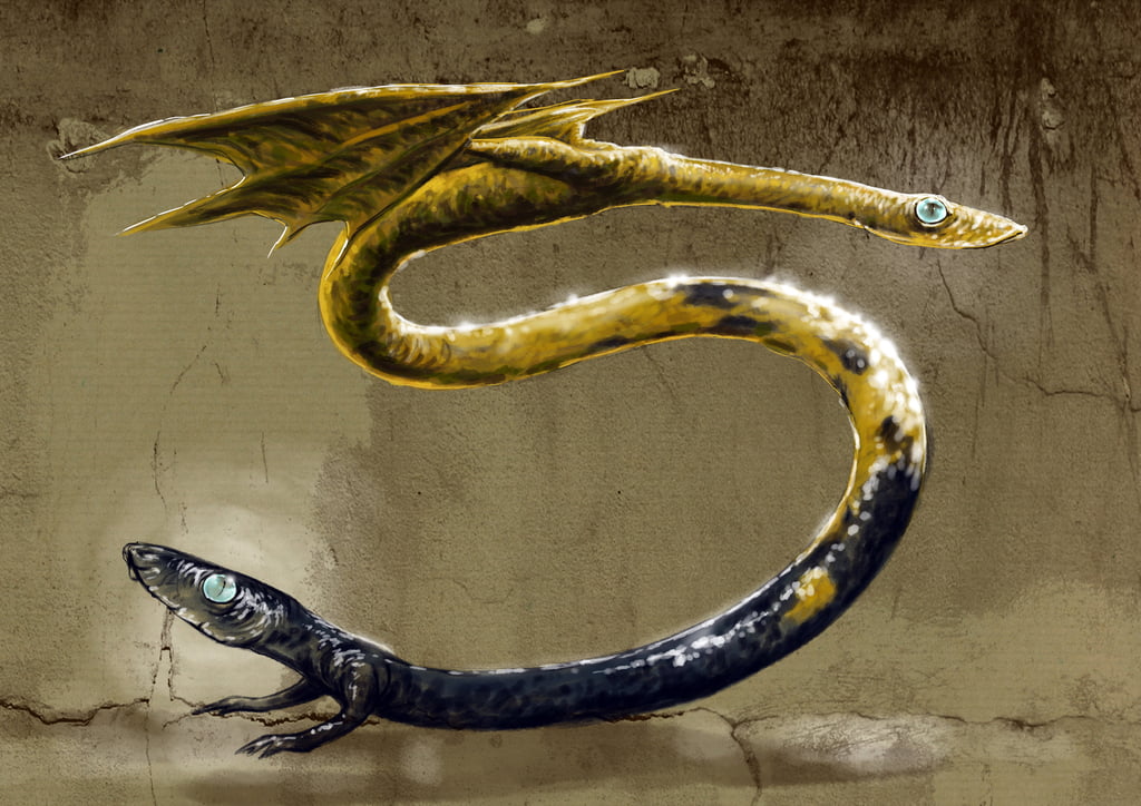 Basilisk Snake Drawing